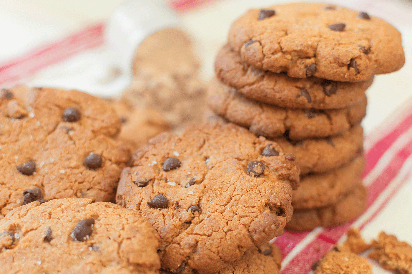 Chocolate chip protein cookies – TAHA Health & Nutrition